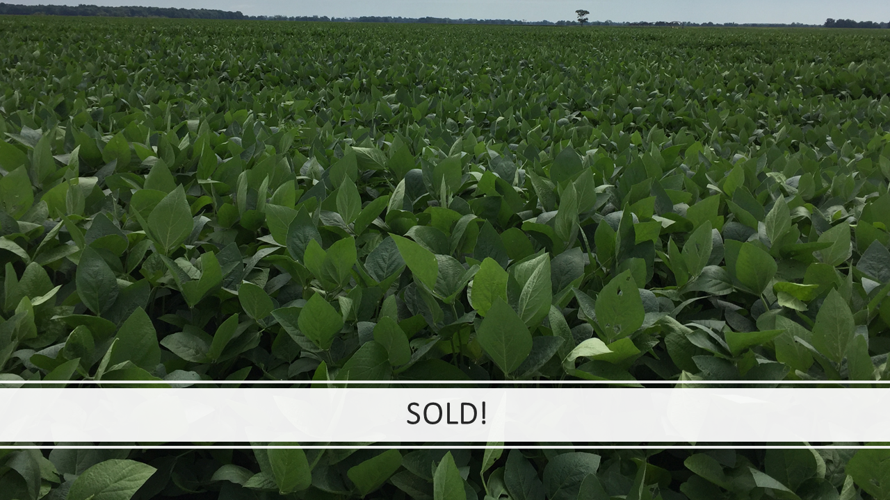 160 Acre Rial Trust Farm | Glaub Farm Management